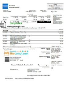 American Express Billing Statement Template