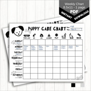 Free Printable Dog Schedule Template