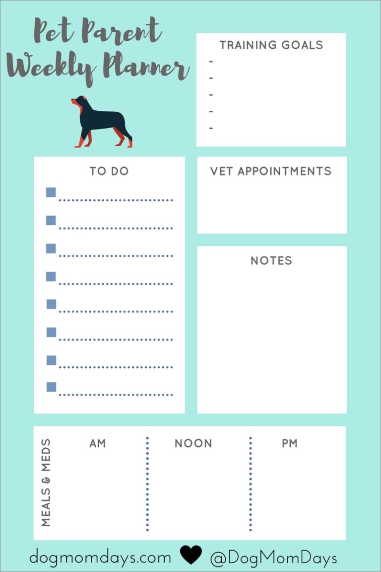 Free Printable Dog Schedule Template
