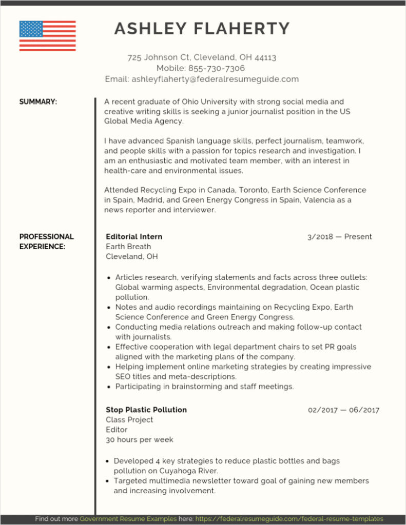 Free Printable Federal Government Resume Template