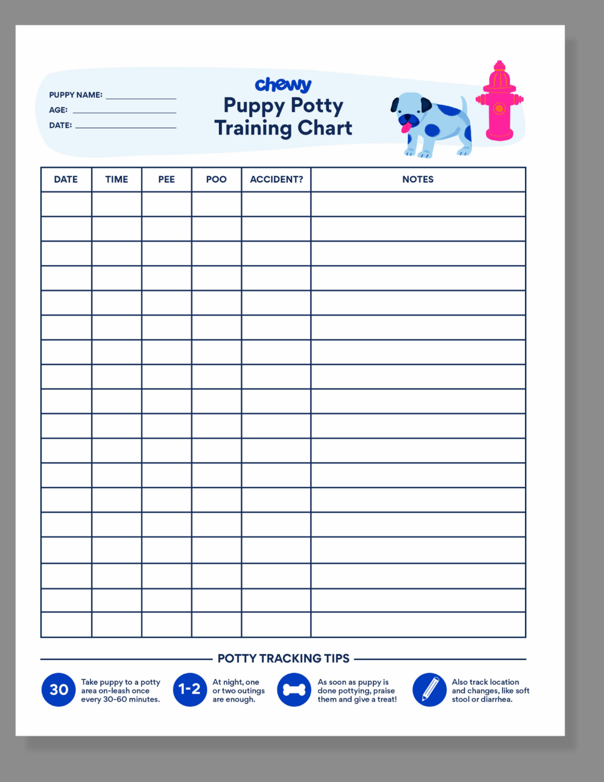 Puppy Schedule Template