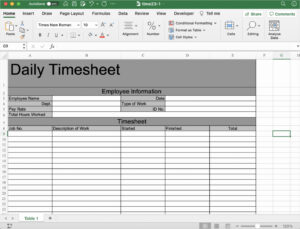 Daily Timesheet Template Excel With Tasks