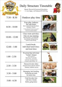 Free Printable Dog Schedule Template