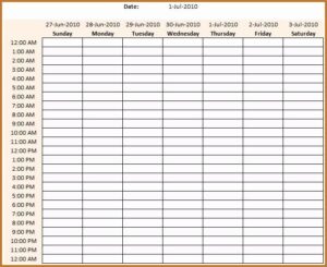 Hour-By-Hour Schedule Template