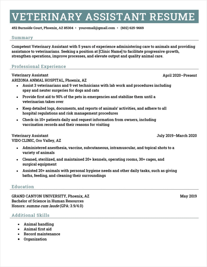 Free Printable Vet Tech Resume Template
