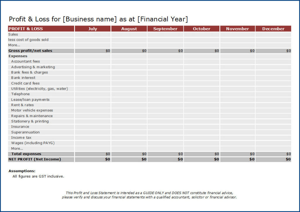 Year-To-Date Profit and Loss Statement Template